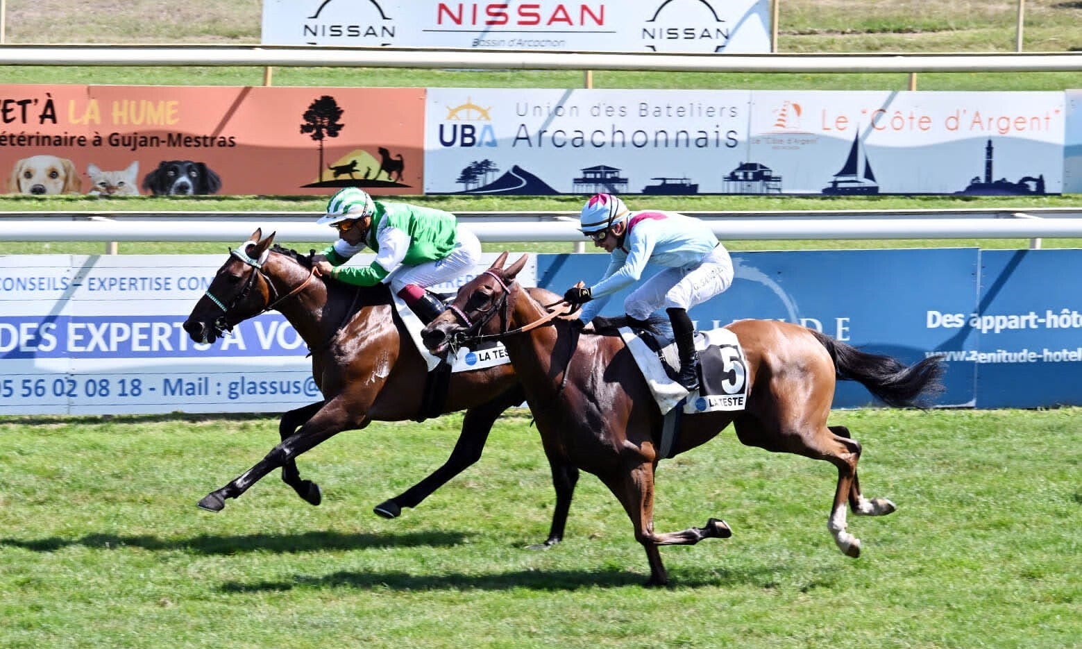 Poland to host Sheikh Zayed Purebred Arabian Horses Cup tomorrow