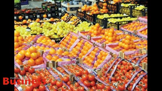 زيادة صادرات مصر الزراعية 300 مليون دولار منذ بداية العام