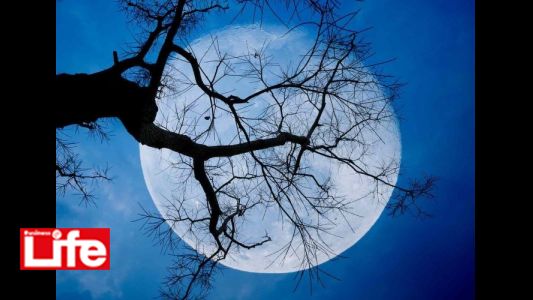 Song of Belief – A Bouquet of Poems from Uzbekistan