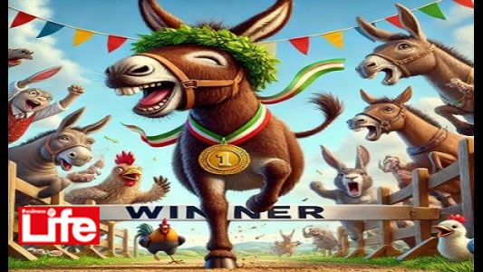 Sports: Donkey Wins the Race